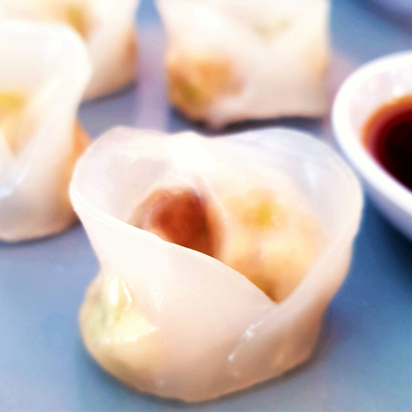 Tofu Crystal Dumplings (Chinese Vegan Har Gow) – Feast Glorious Feast