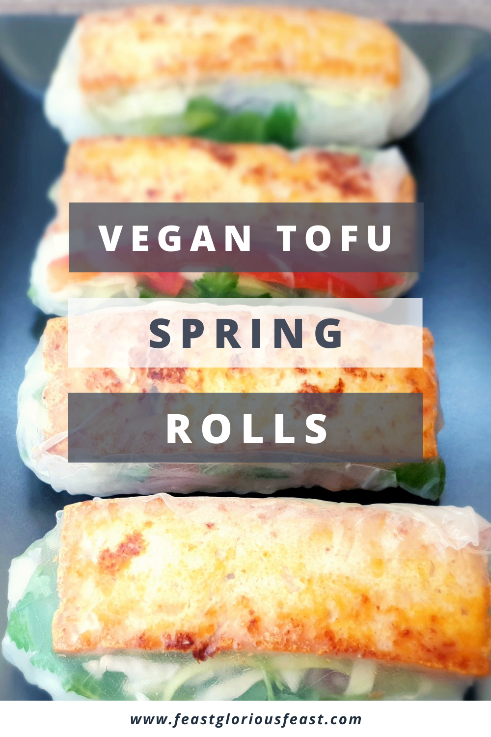 Tofu Spring Rolls (Vietnamese Summer Rolls) – Feast Glorious Feast