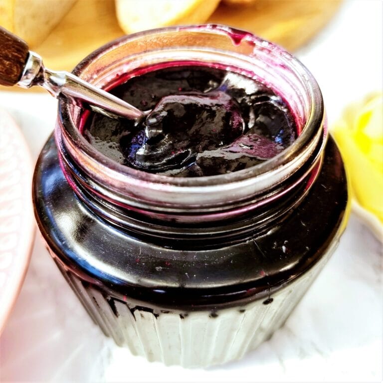 Seedless Blueberry Jam (Small Batch Recipe) – Feast Glorious Feast