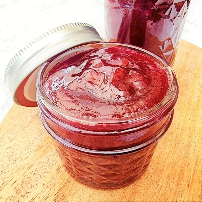 Seedless Raspberry Jam (Small Batch Recipe) – Feast Glorious Feast