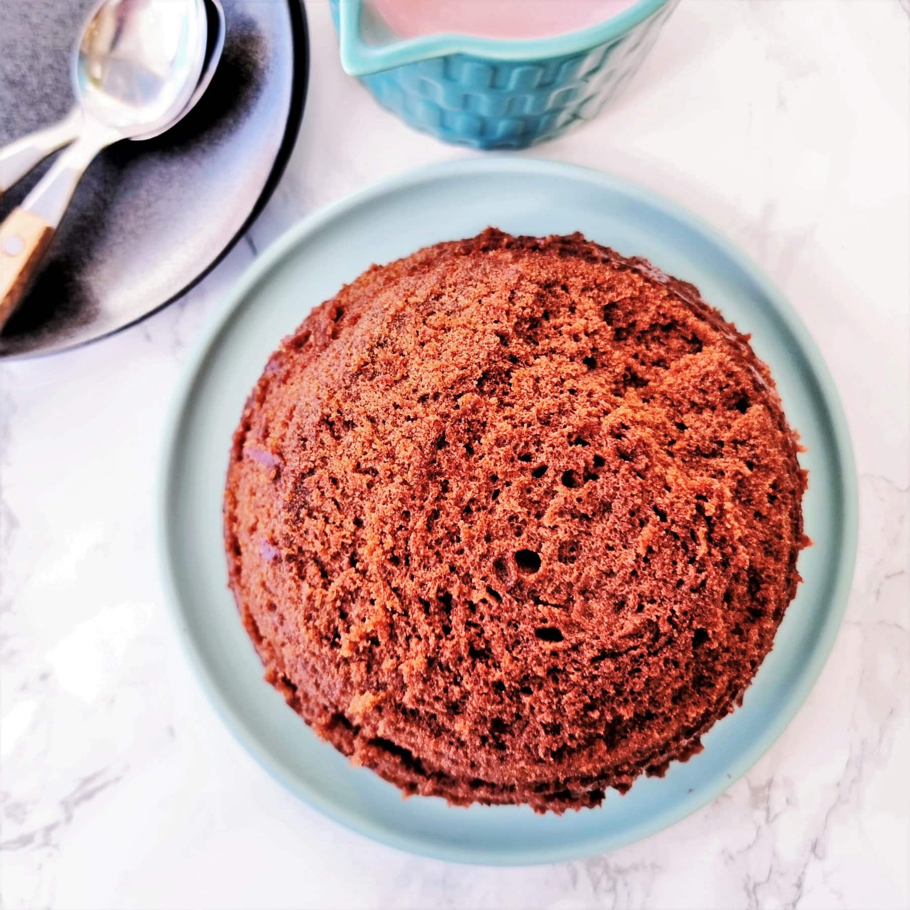 Microwave Chocolate Sponge Pudding – Feast Glorious Feast