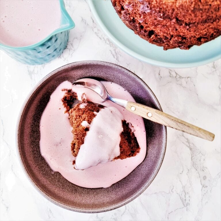 Microwave Chocolate Sponge Pudding – Feast Glorious Feast