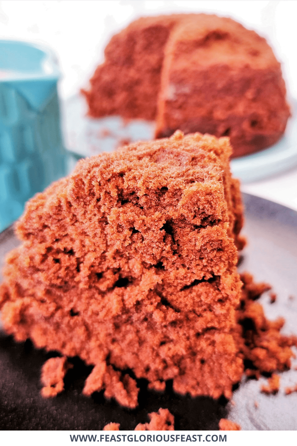 Microwave Chocolate Sponge Pudding – Feast Glorious Feast