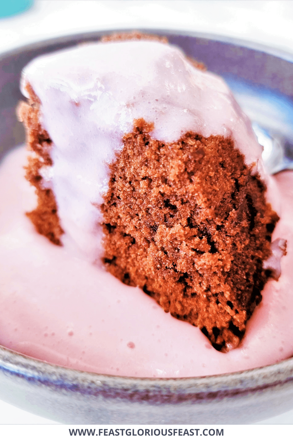 Microwave Chocolate Sponge Pudding – Feast Glorious Feast