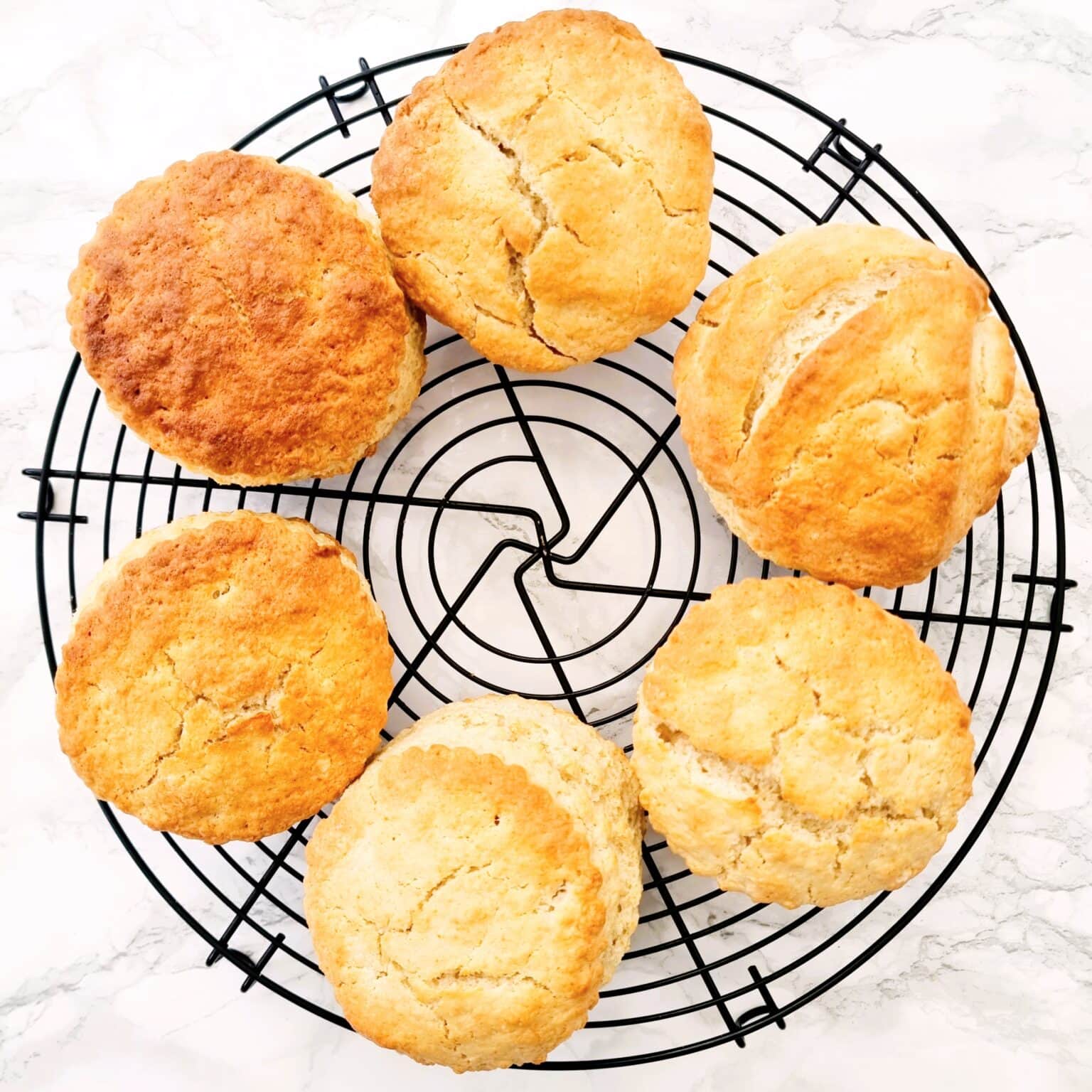 Big Fluffy Scones – Feast Glorious Feast