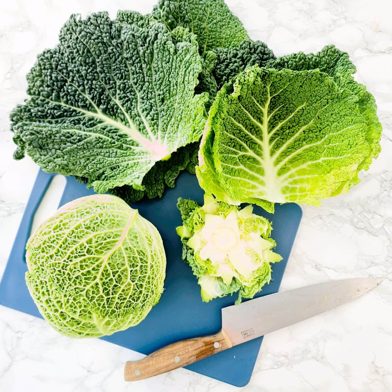 Simple Buttered Savoy Cabbage – Feast Glorious Feast