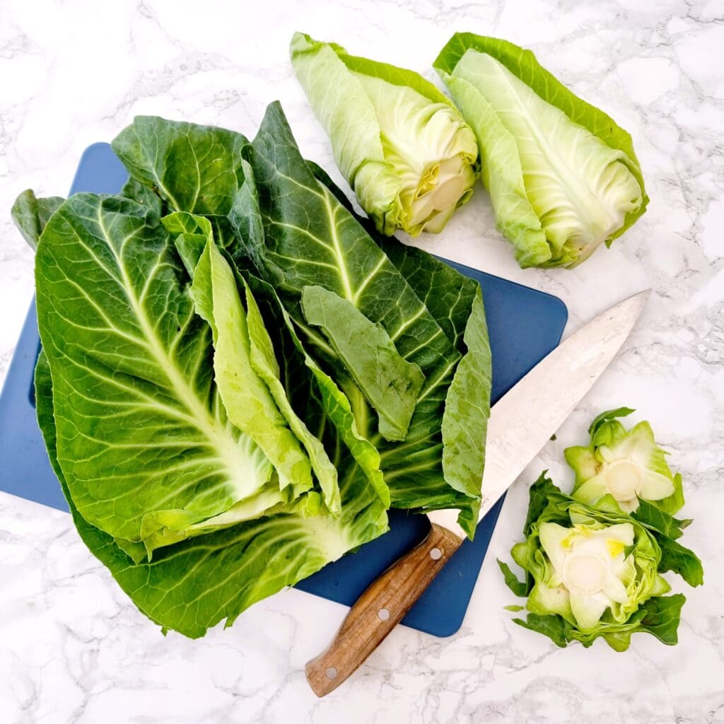 Simply Buttered Spring Greens – Feast Glorious Feast